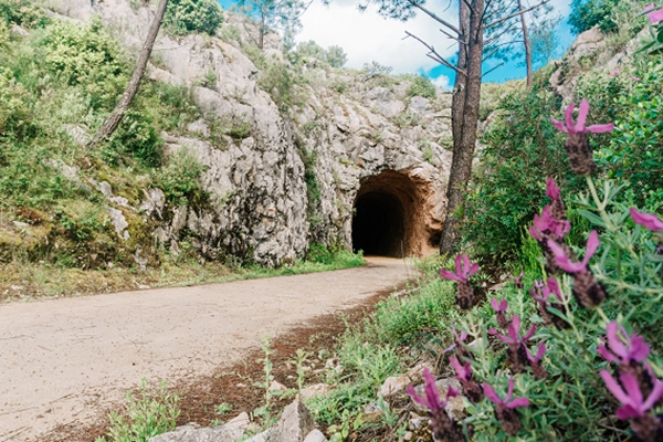 PR06 - Rota do Carvão@DYS